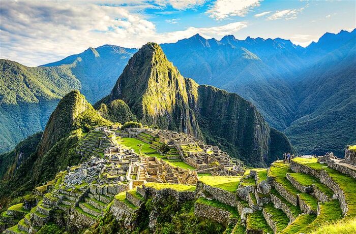 Flora y fauna del Cusco Un Viaje Fascinante por su Riqueza Natural - 2026